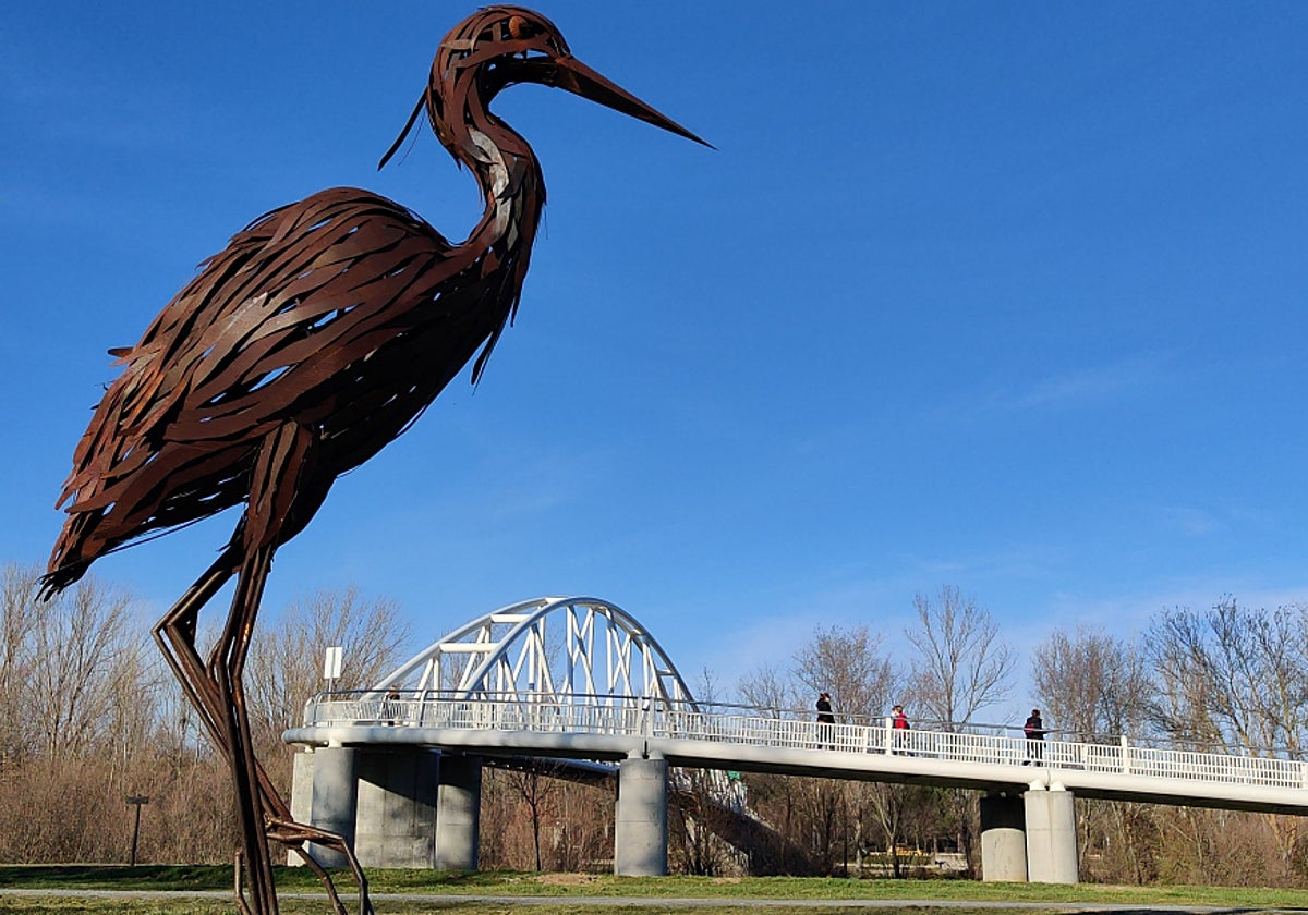 Bokep tobrut indo extremely appealing and sexy woman!